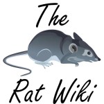 The Rat Wiki – The Ultimate Source of Information for Pet Rat Care