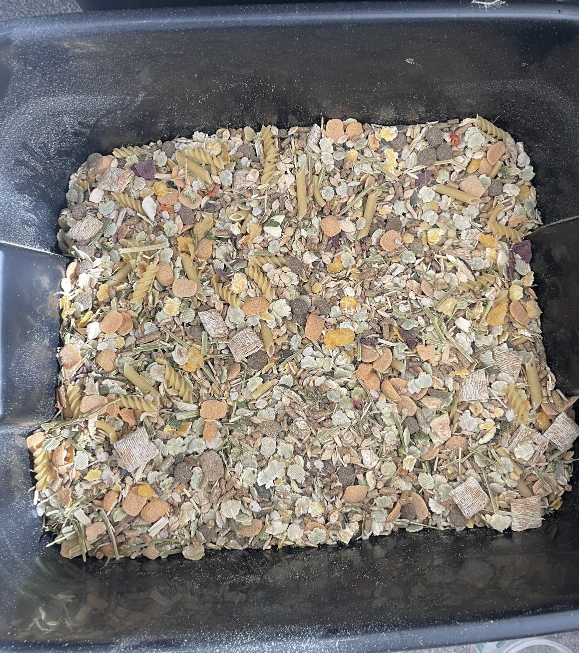 Diet and Nutrition – The Rat Wiki