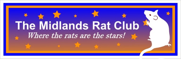 Clubs – The Rat Wiki