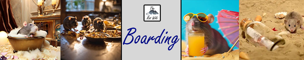 Boarding – The Rat Wiki