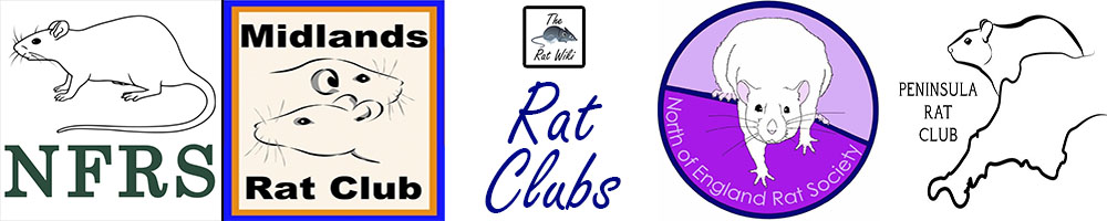Clubs – The Rat Wiki