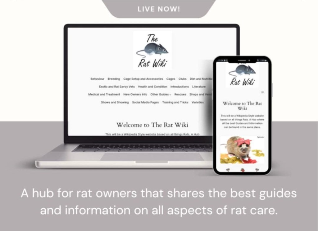 The Rat Wiki – The Ultimate Source of Information for Pet Rat Care